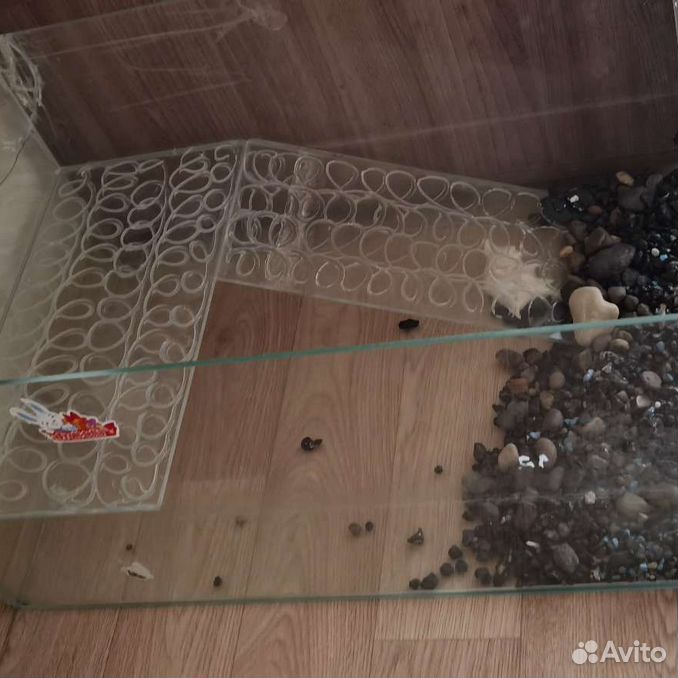 Аквариум Террариум