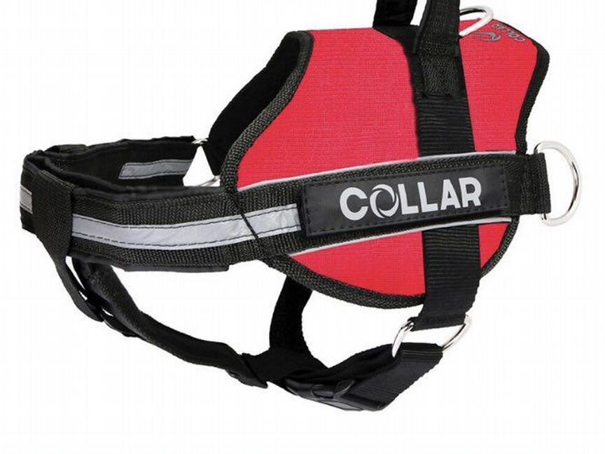 Шлейка для собаки