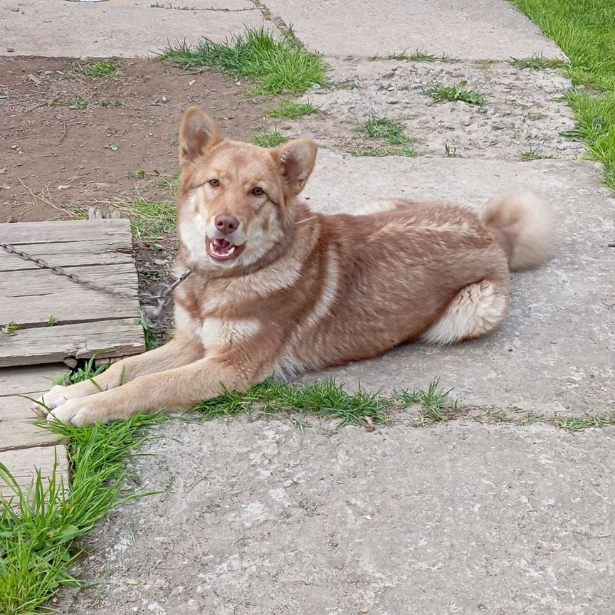 Крошка-хорошка