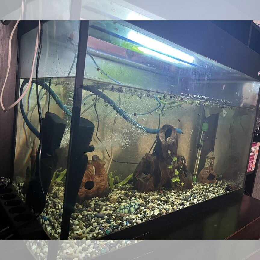 Аквариум с рыбками