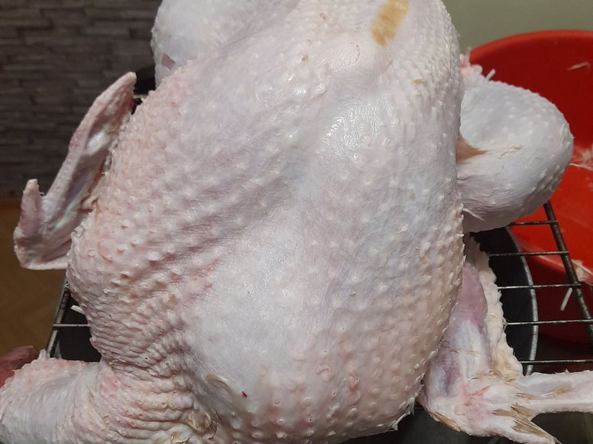 Гуси,индейки