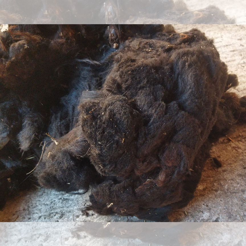 Шерсть овечья