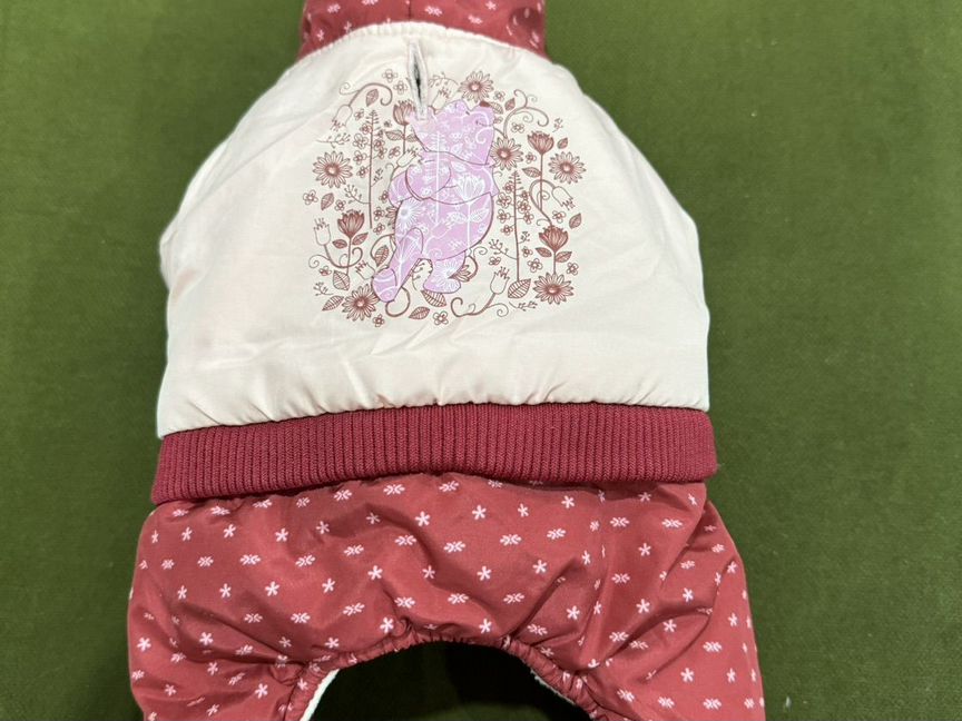 Костюм для собаки