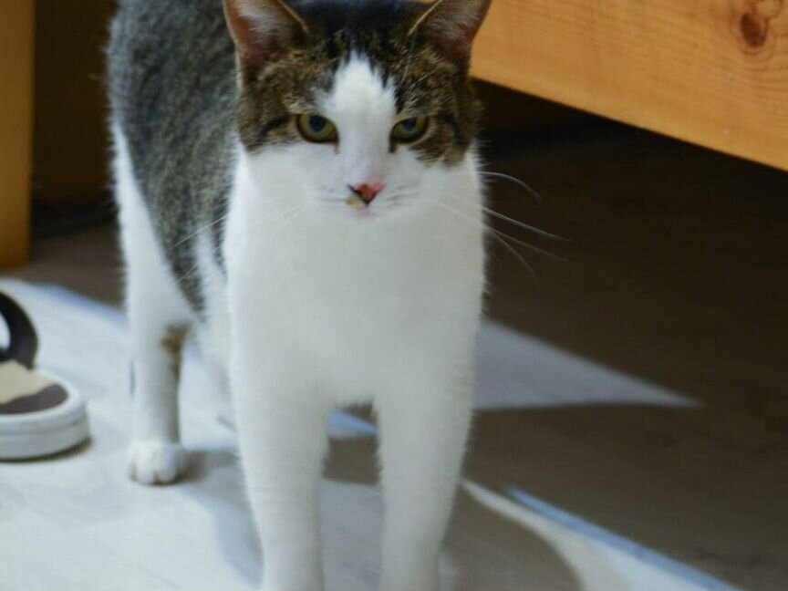 Нежная Маня