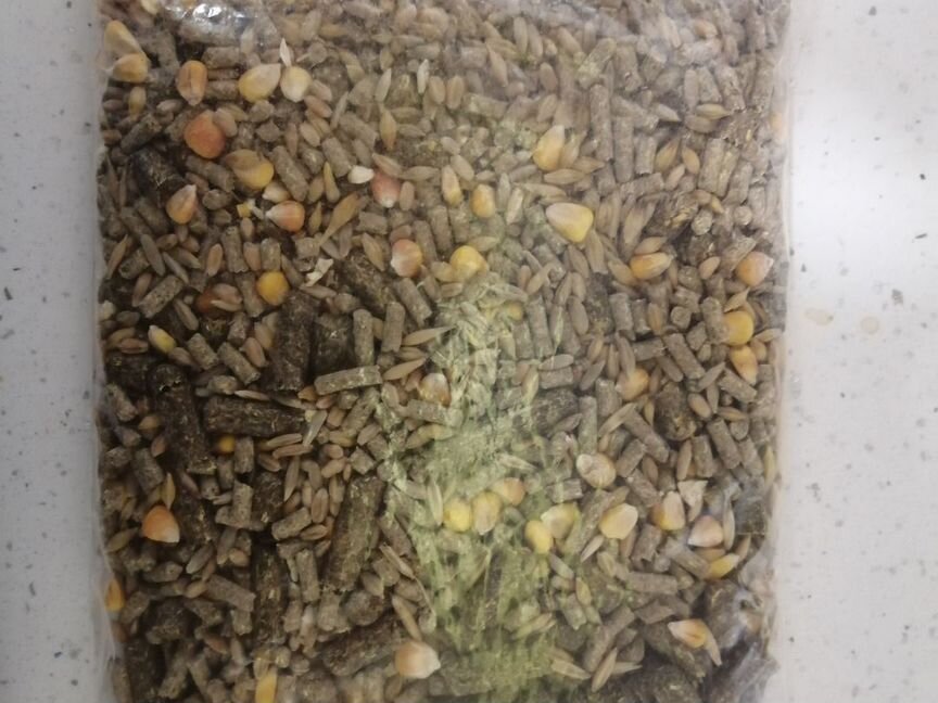 Корм для морских свинок