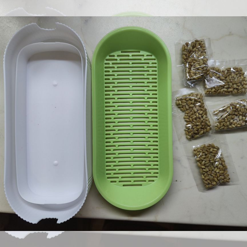 Проращиватель семян для кошек