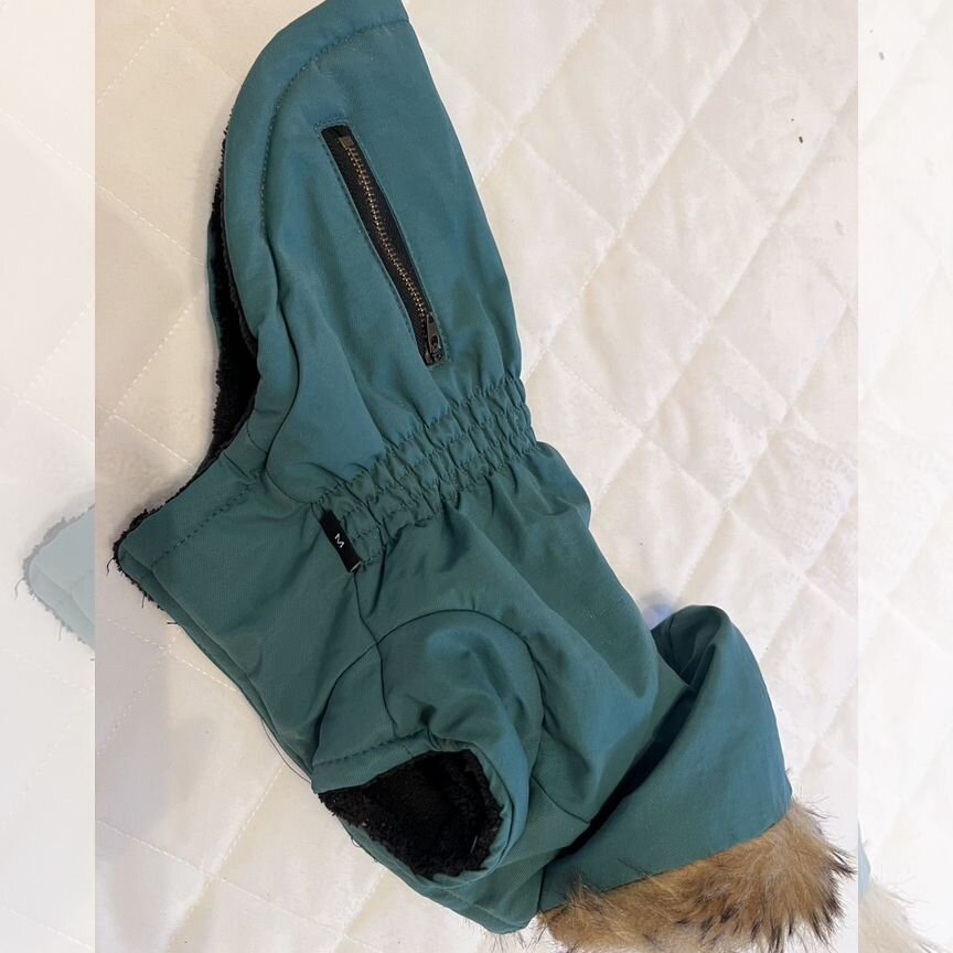 Одежда для собак