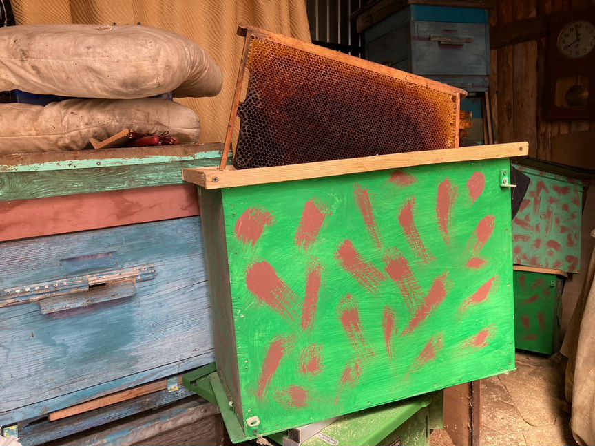 Ловушки для пчел