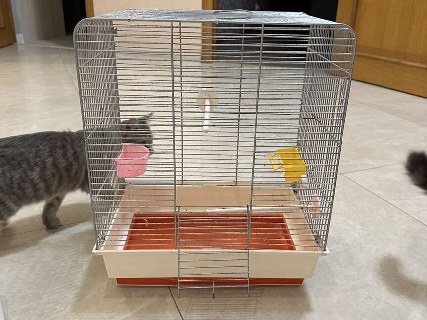 Клетка для птиц б/у