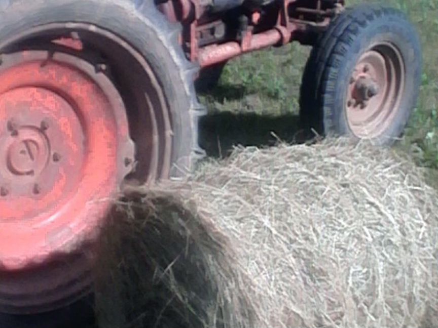 Продам сено в рулонах