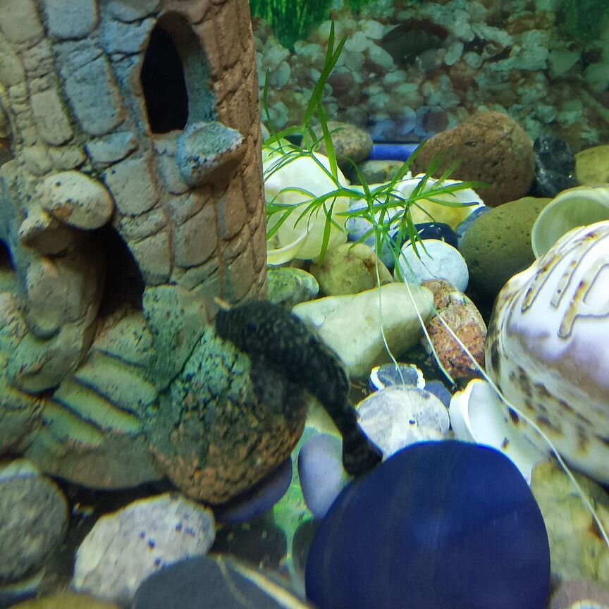 Украшение для аквариума