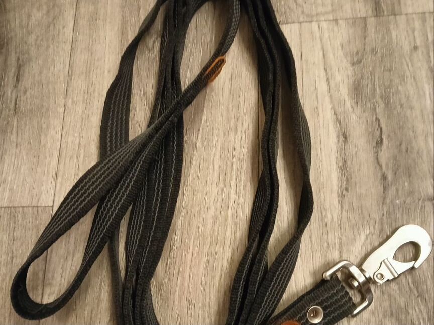 Поводок, ошейник, когтерез-гельотина