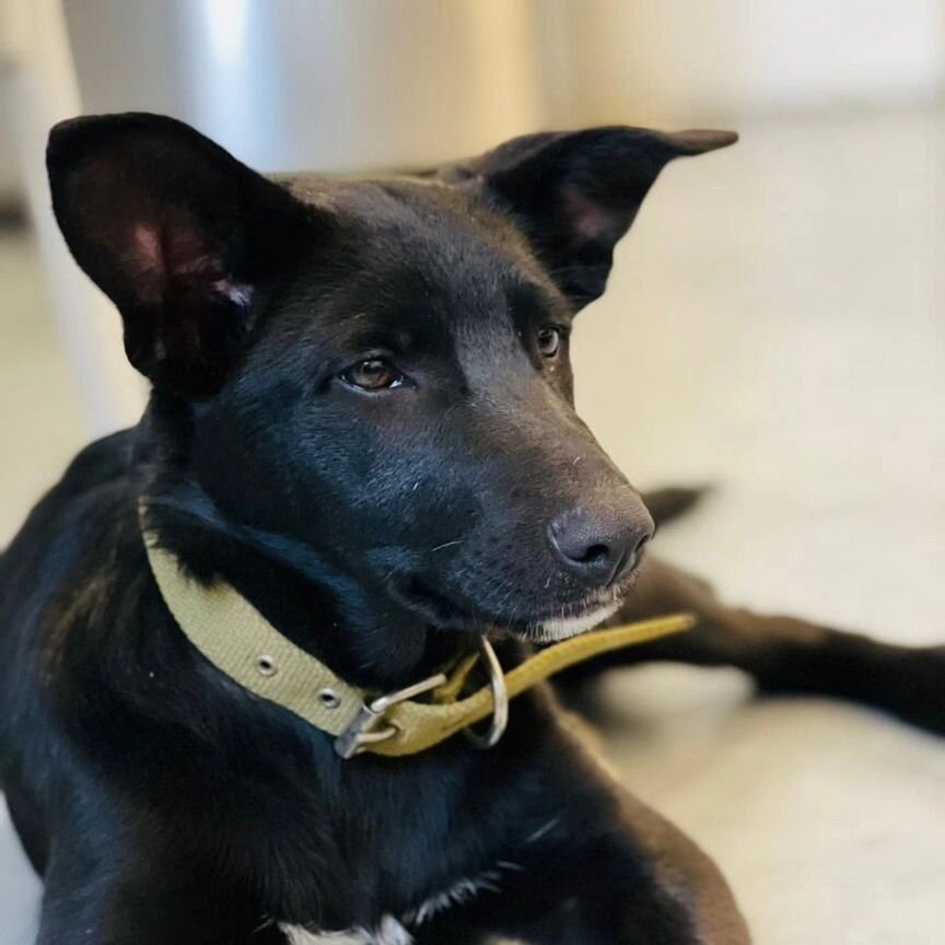 Подросток девочка ищет дом