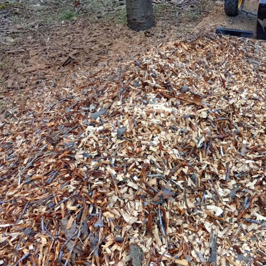 Древесная щепа