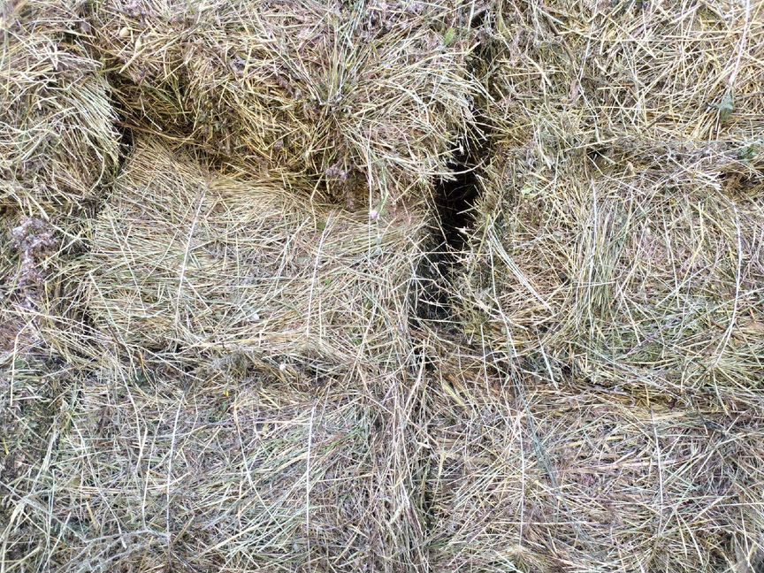 Сено суданка+ разнотравие в тюках