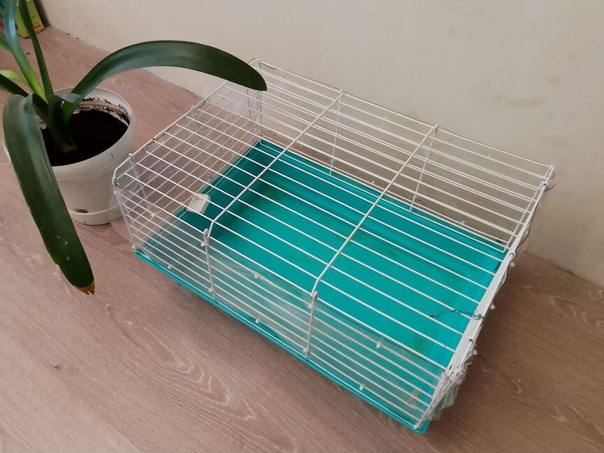Клетка для грызунов морских свинок крысы
