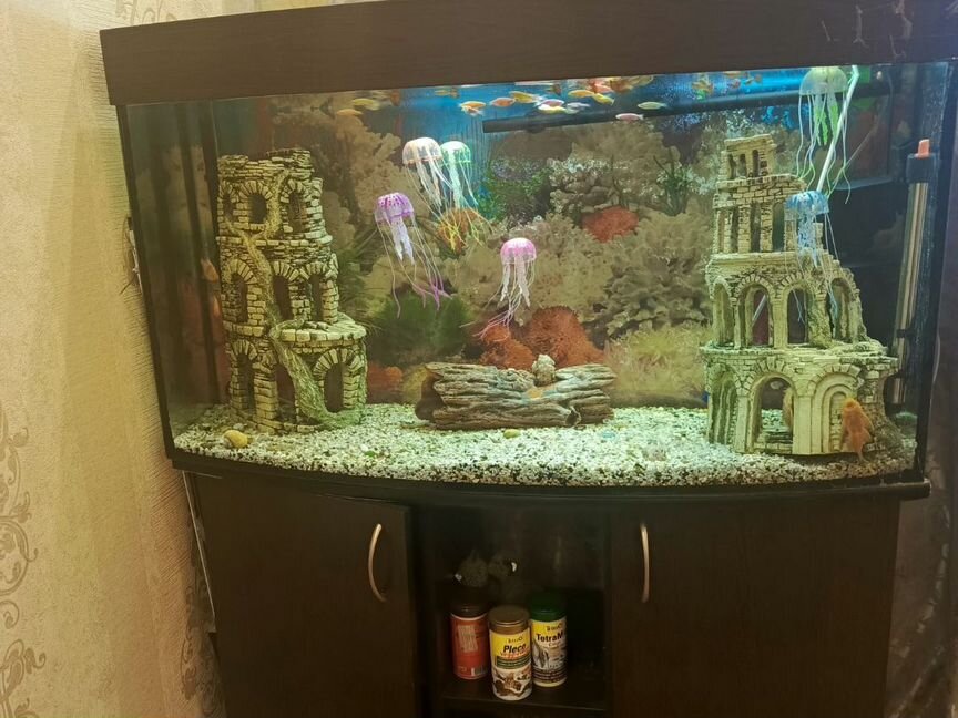Аквариум с тумбой 200 литров