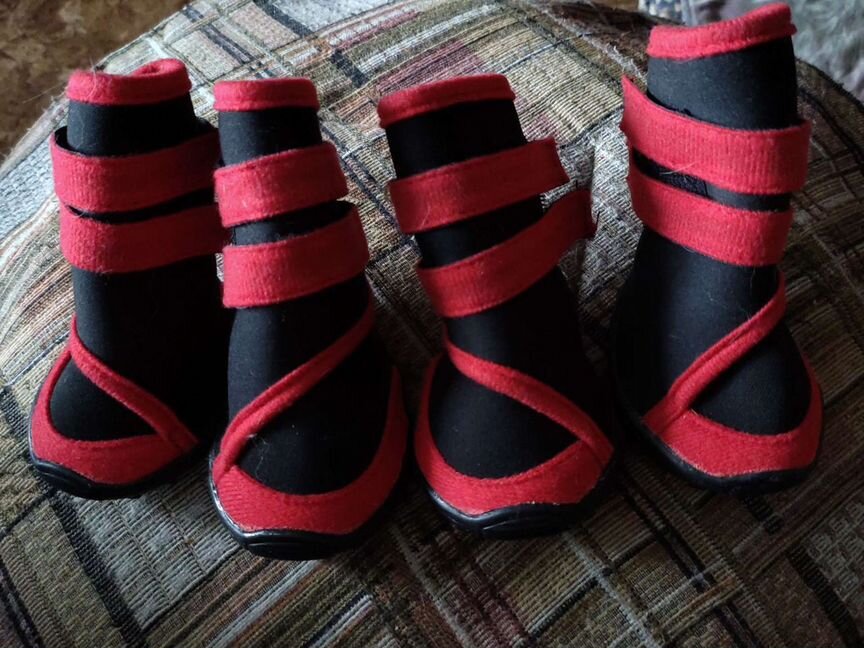 Ботинки для большой собаки