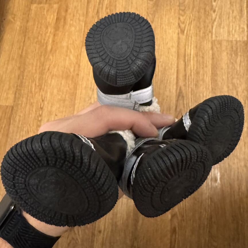 Ботинки для собак