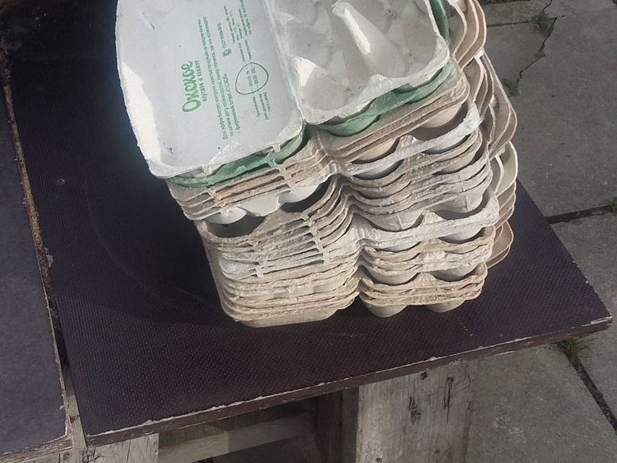 Упаковочная клетка для яиц