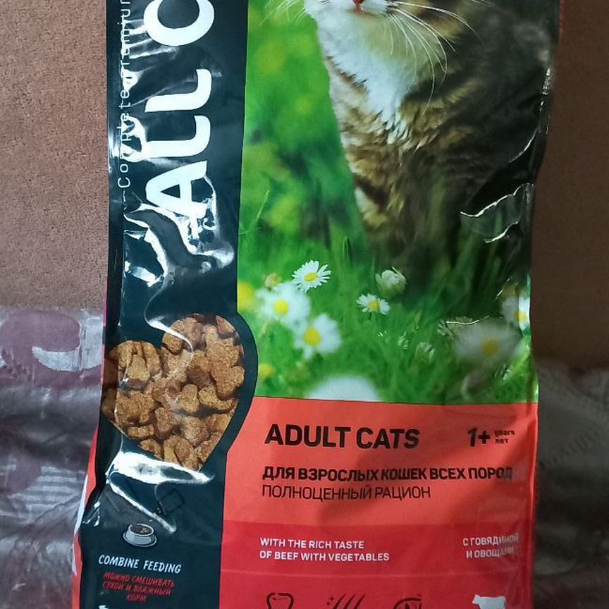 Сухой корм для кошек