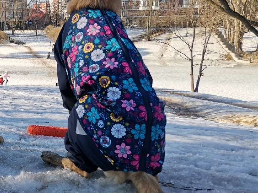 Дождевик для средней собаки