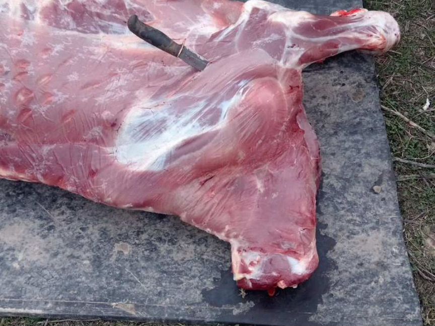 Мясо говядина для собак