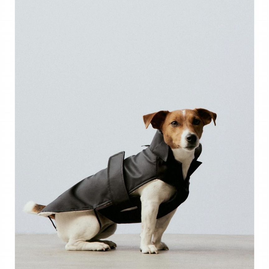 Куртка для средних собак Zara