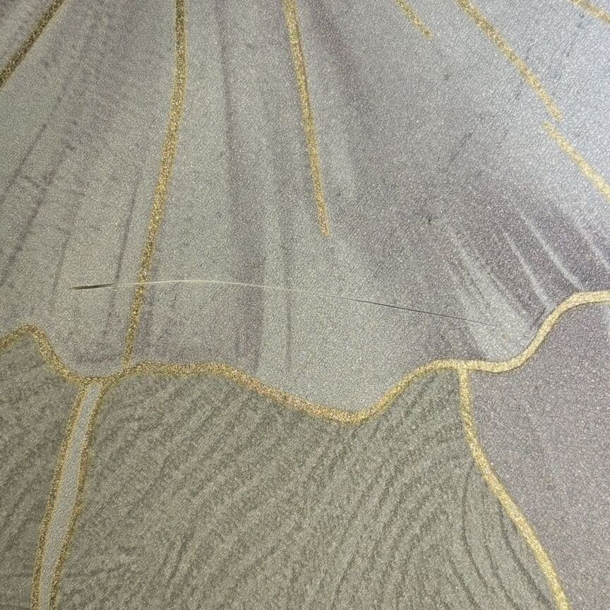 Взрослый кот от частного владельца