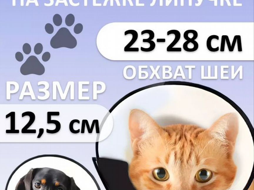 Воротник ветеринарный