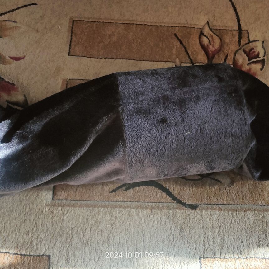 Тоннель труба для кошек