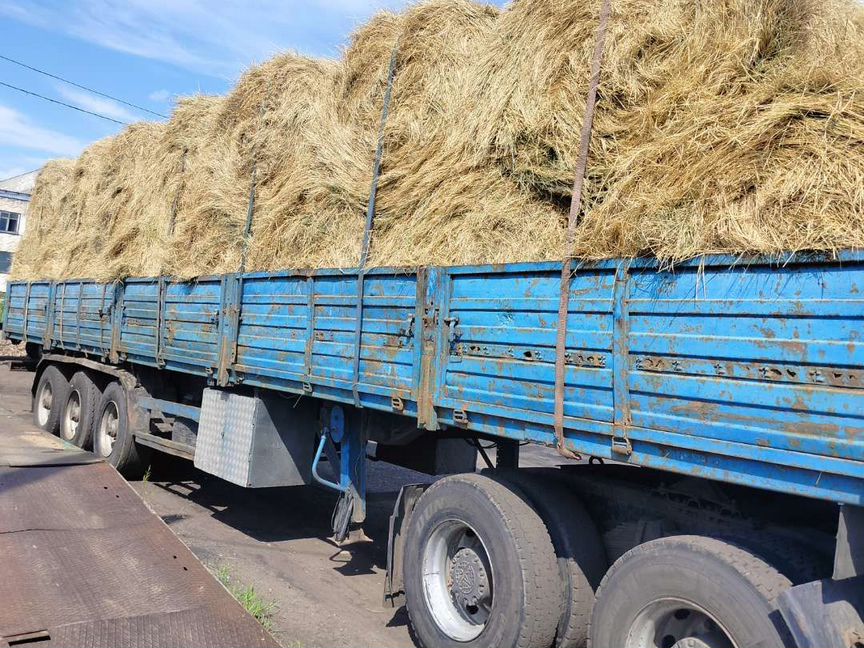 Продам сено в рулонах