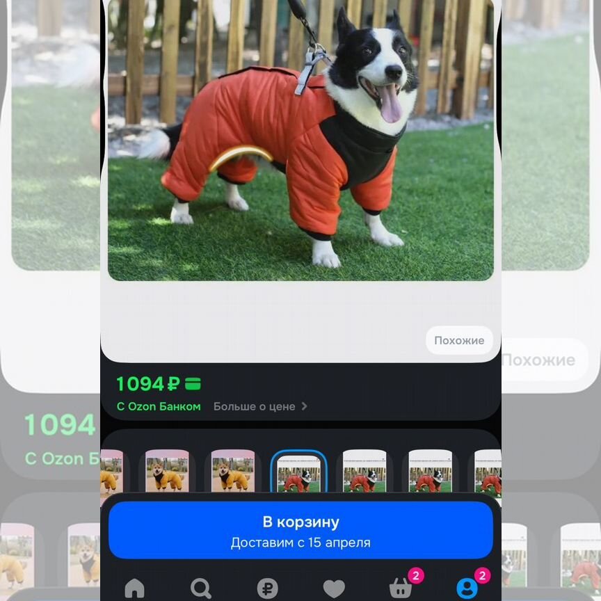 Одежда для собак средних пород