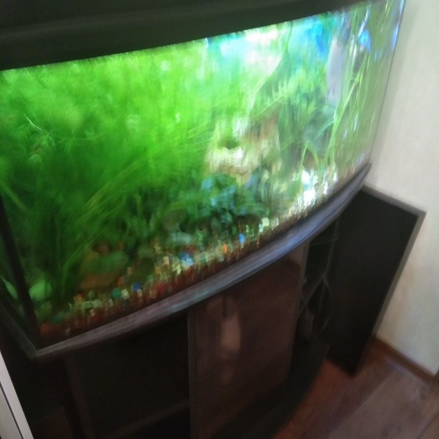 Аквариумы с тумбой
