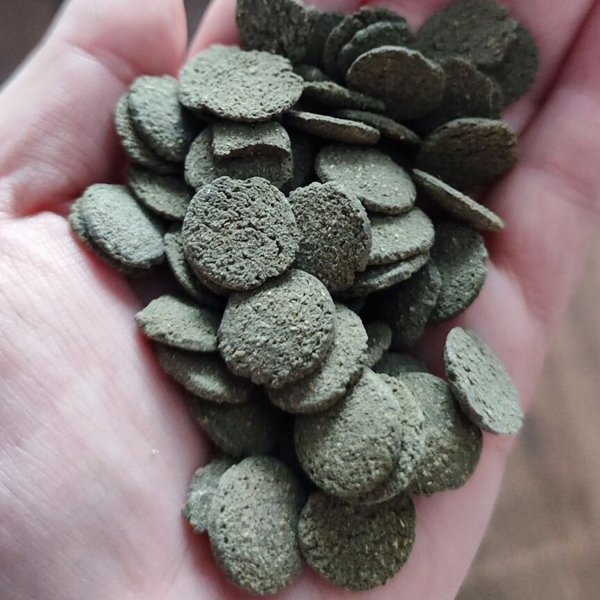 Корм для рыб и не только