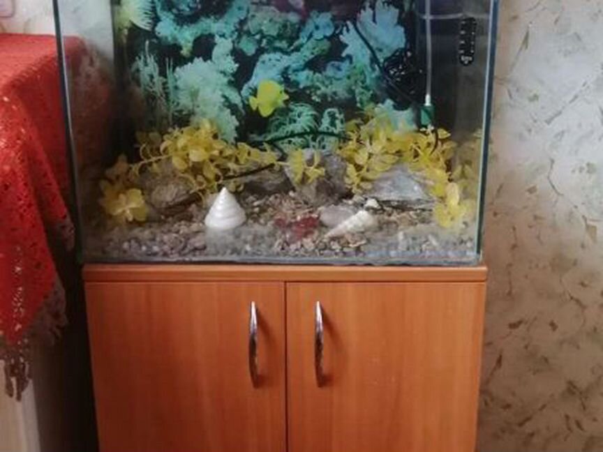 Аквариум(60л)