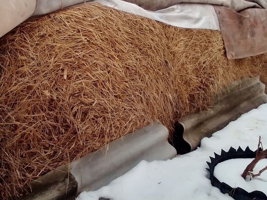 Солома просяная в рулонах