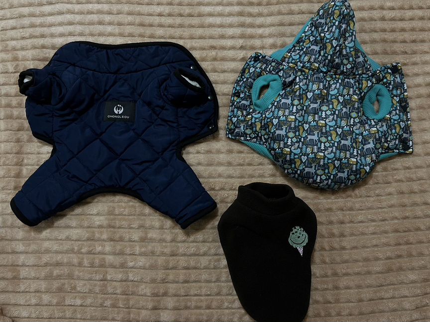 Одежда для собак мелких пород