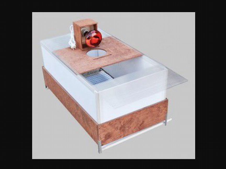 Брудер 77 разборный для птенцов