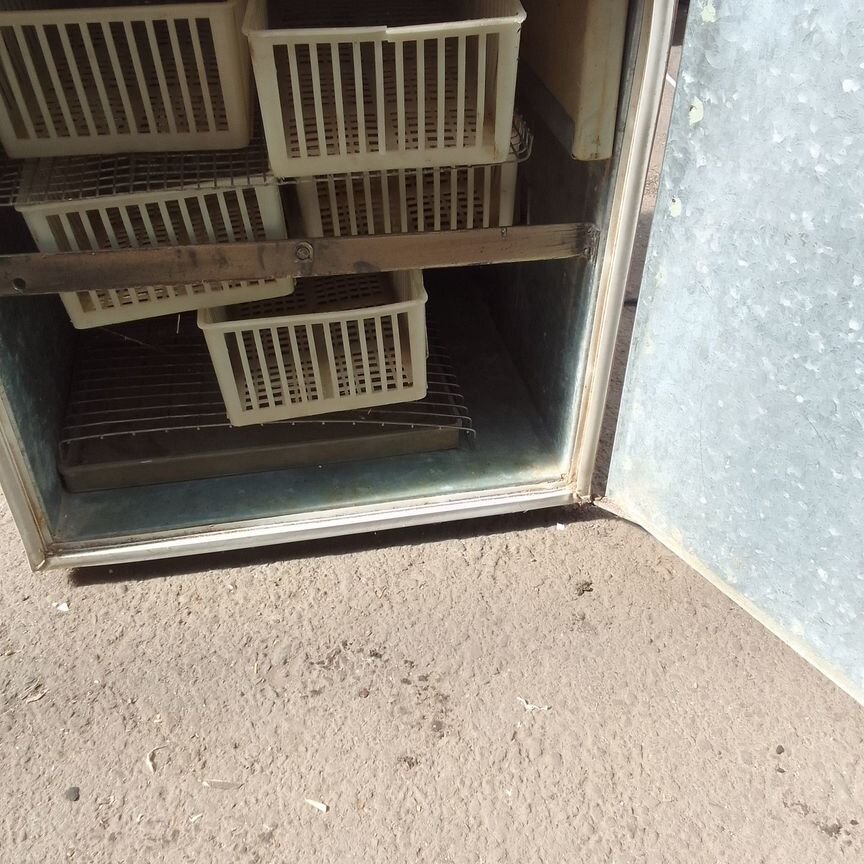 Инкубатор ;петушок;