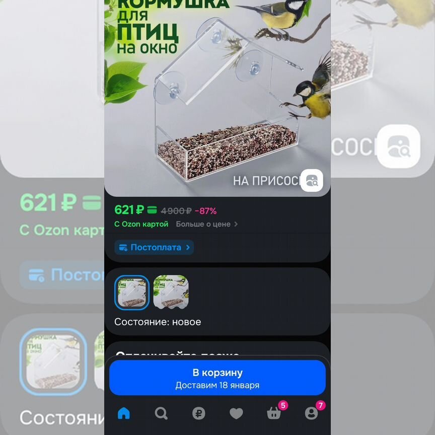 Прозрачная кормушка для птиц на присосках