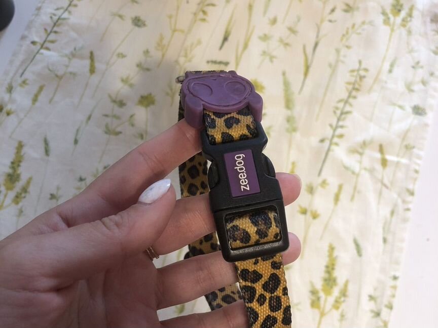 Ошейник для собак