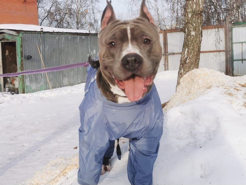 Хаммер в добрые руки