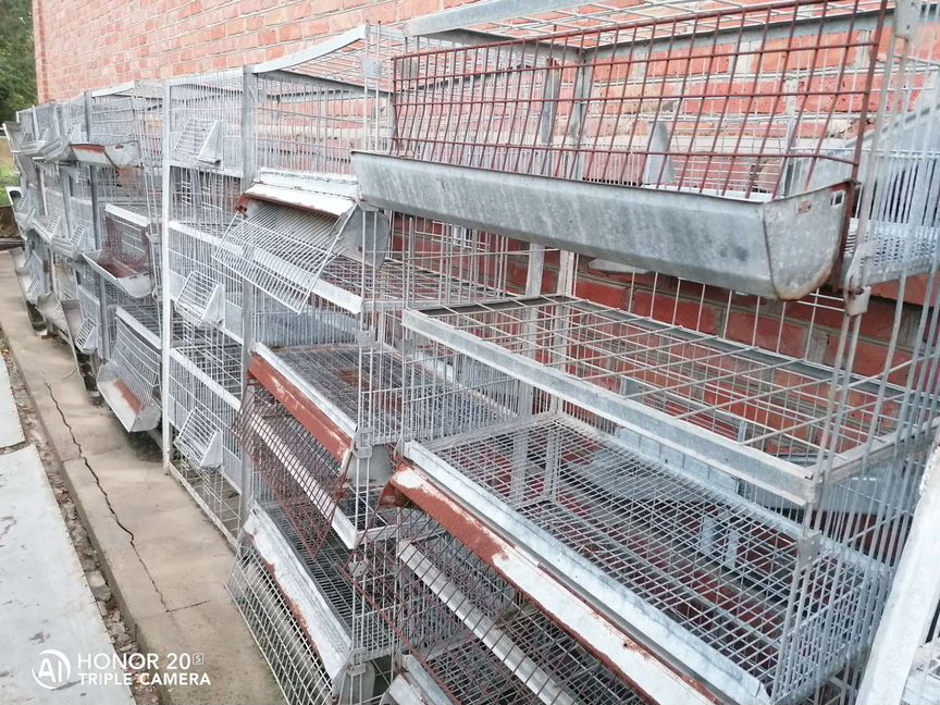 Клетки для кур, кроликов