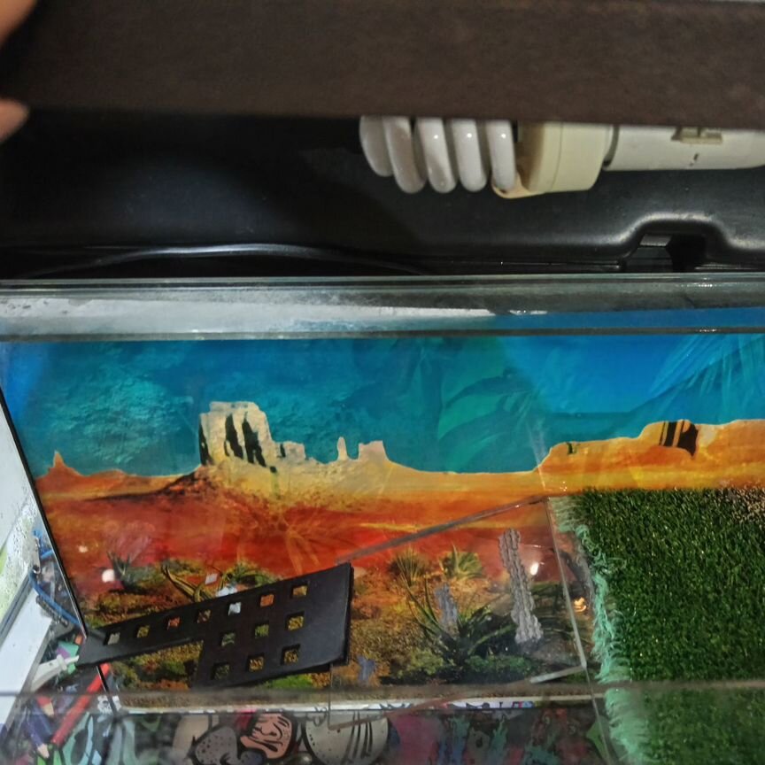 Черепашник 30 литров с фильтром