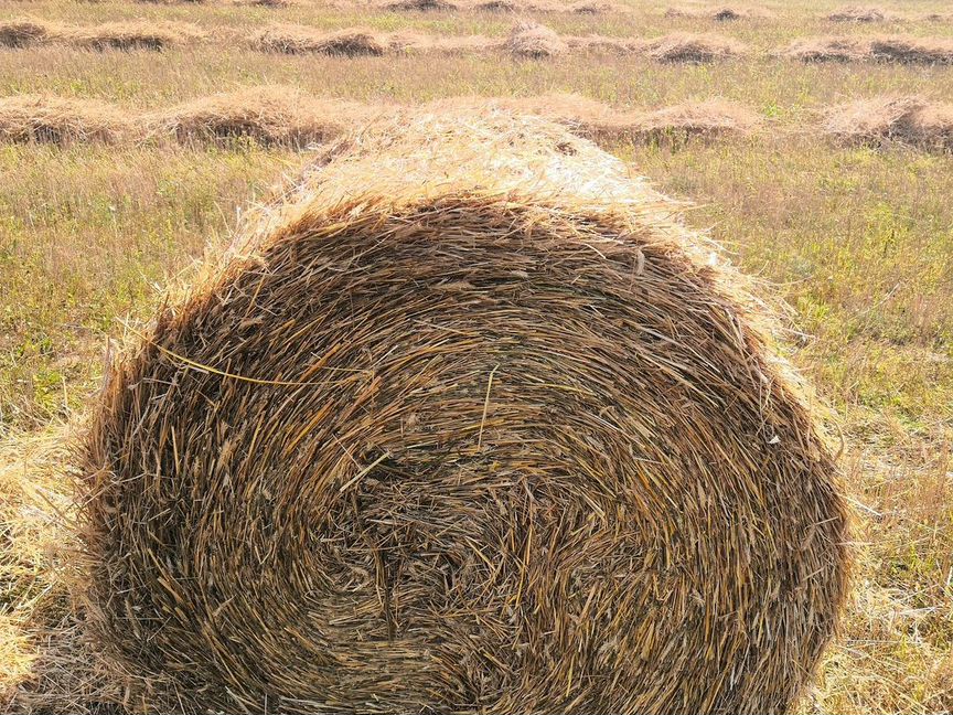 Солома в рулонах