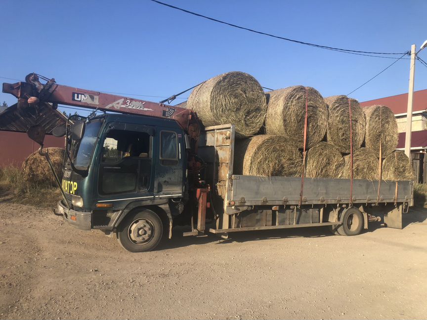 Сено свежий укос