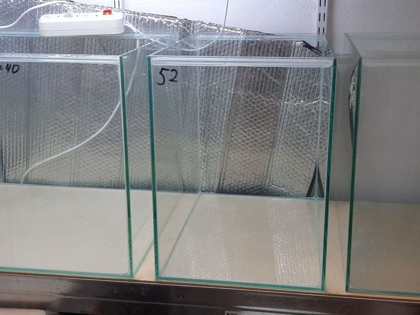 Аквариумы 86, 52, 52 и 20л