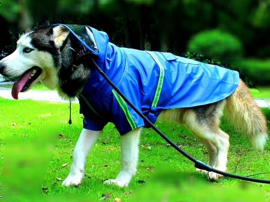 Плащ 5XL для большой собаки водонепроницаемый
