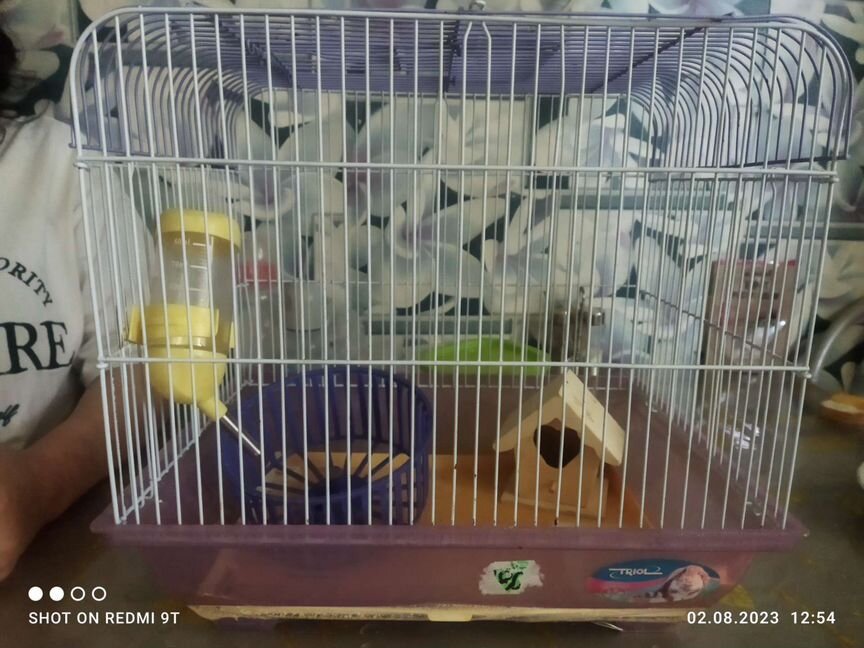 Клетка для хомяка бу